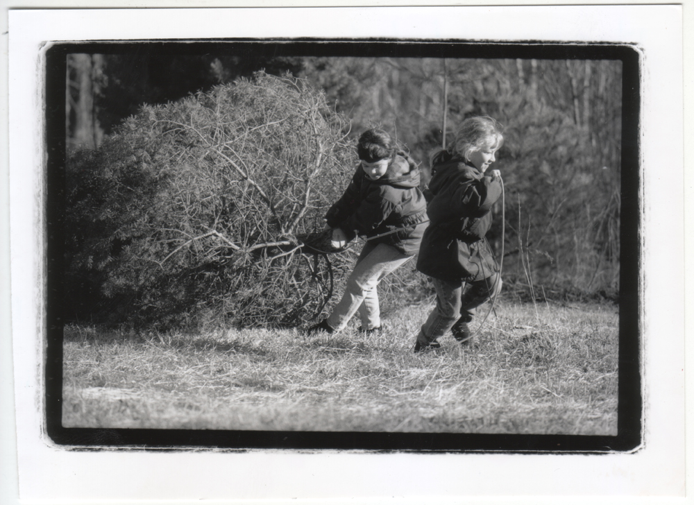 Woolner Family Christmas Cards